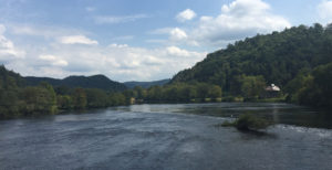 Tri-State Electric Membership Corporation | My Account