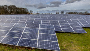 Tri-State Electric Membership Corporation | Resources